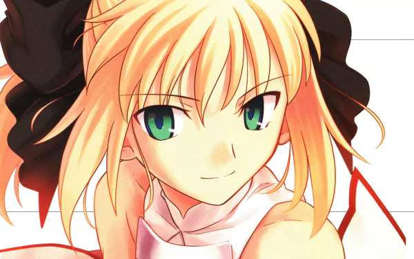 Fate/unlimited Codes 4k Wallpapers