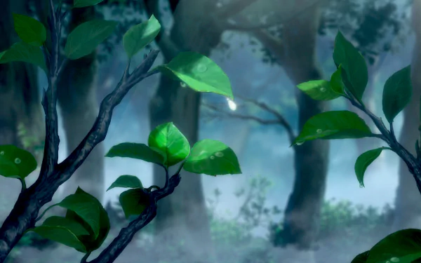 Raindrop Veil HD Wallpaper