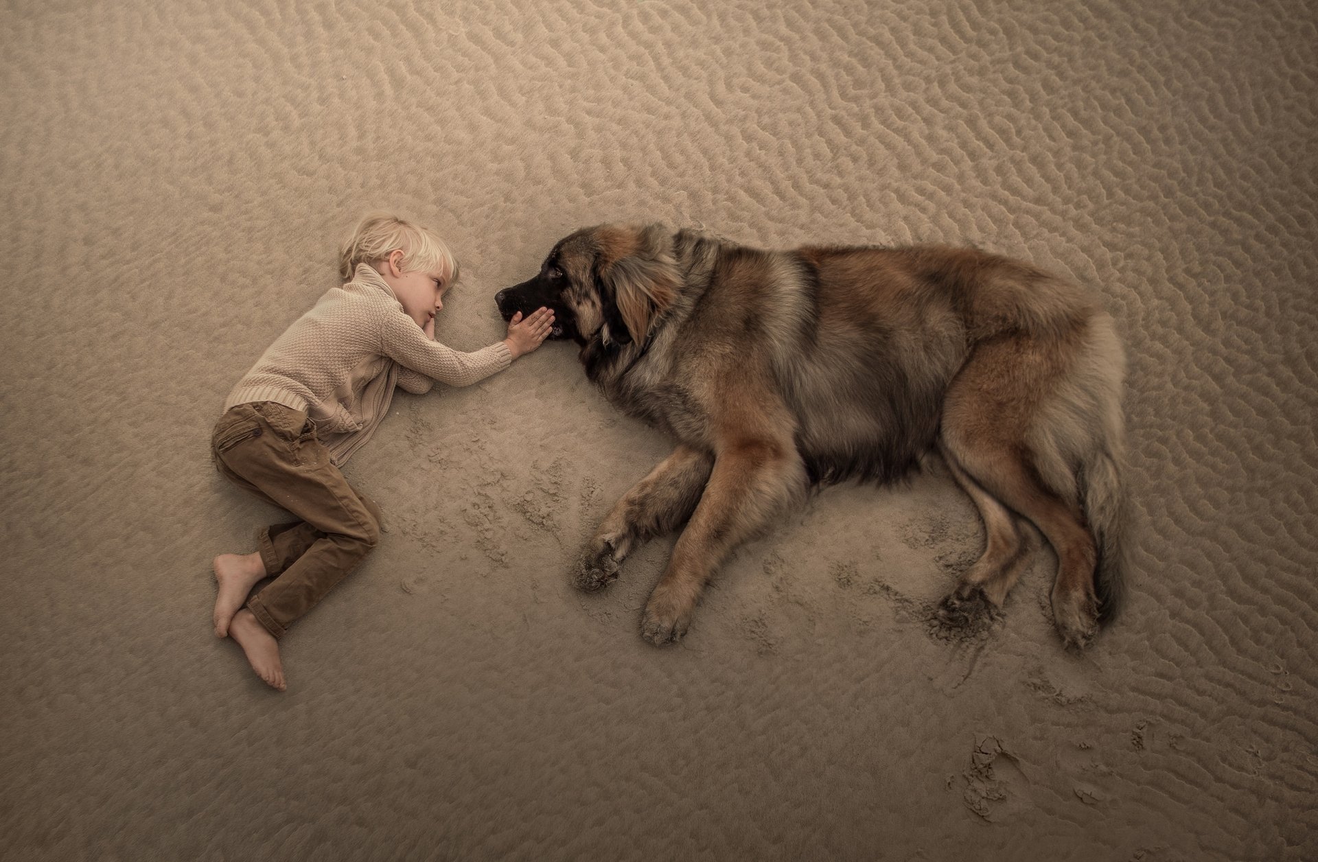 Leonberger and Child at Rest - HD Wallpaper by Sveta Butko