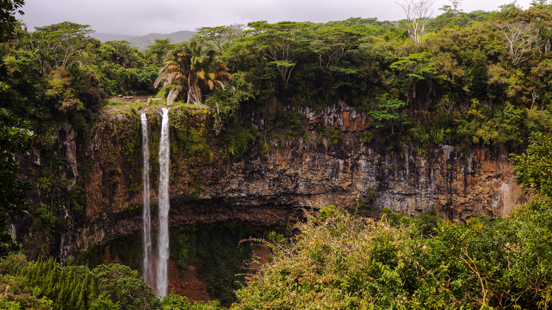 Download Cliff Jungle Nature Waterfall HD Wallpaper