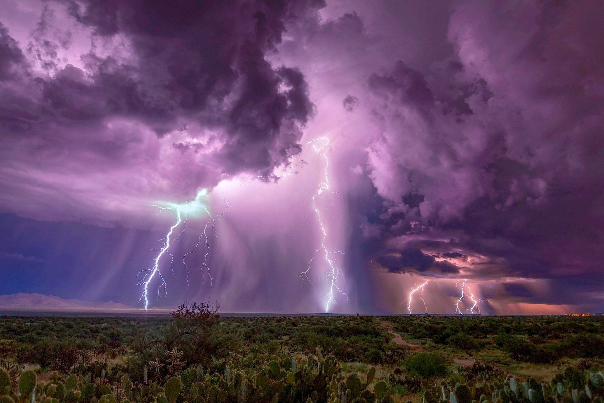 Desert Storm Nights: Lightning Strikes Over Cactus Horizon HD Wallpaper