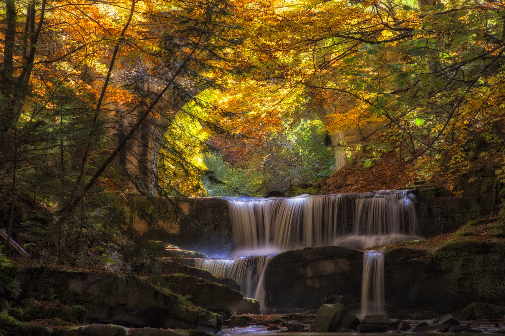 Download Fall Forest River Nature Waterfall HD Wallpaper