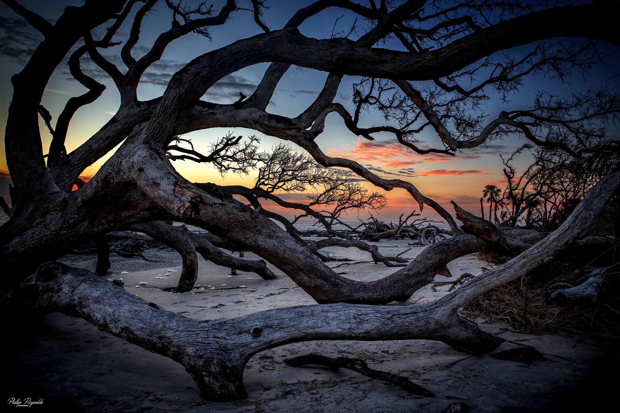 Download Tree Sand Beach Photography Sunset HD Wallpaper by Phillip ...