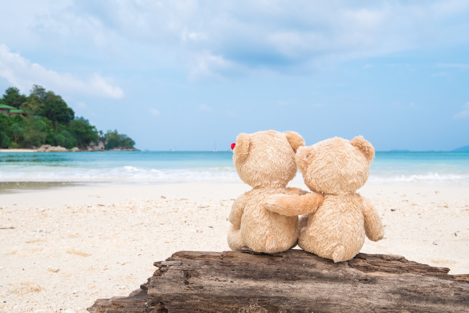 Download Love Beach Teddy Bear Man Made Stuffed Animal 4k Ultra HD ...