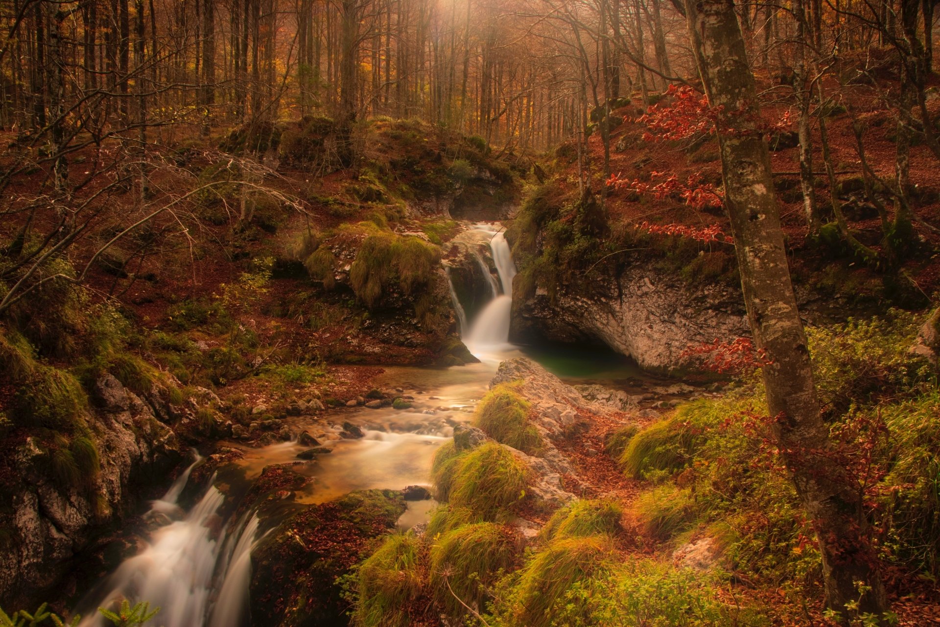 Download Fall Nature Stream 4k Ultra HD Wallpaper