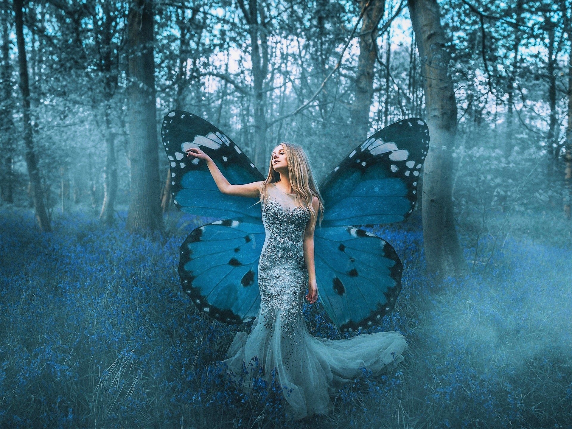 Download Forest Blue Butterfly Fairy Fantasy Woman Artistic HD Wallpaper