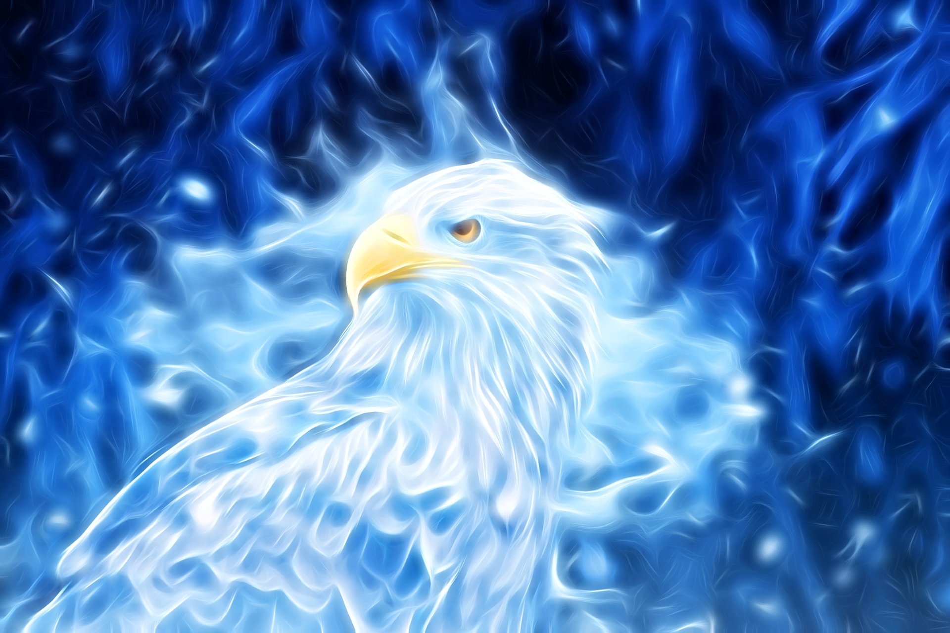 Download Blue Eagle Bird Animal Artistic HD Wallpaper by ractapopulous