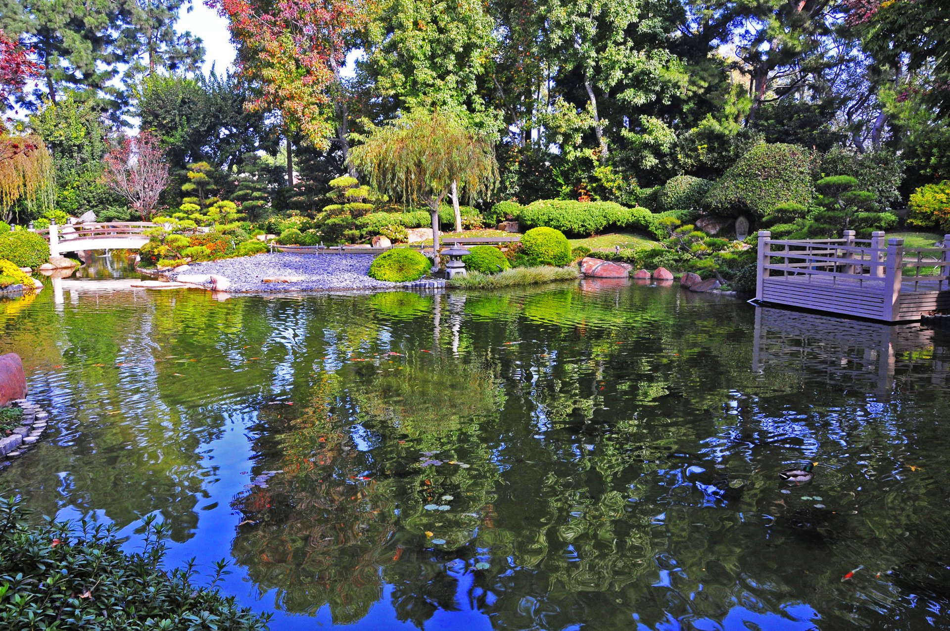 Download Nature Reflection Photography Park HD Wallpaper