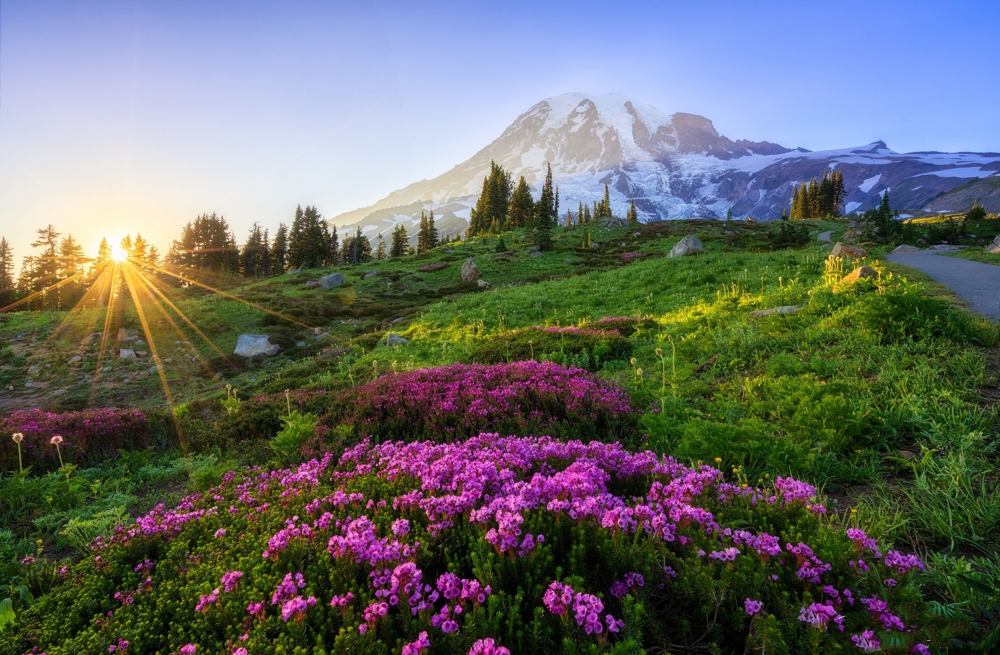 HD Sunrise Splendor: Nature’s Blooming Morning Landscape