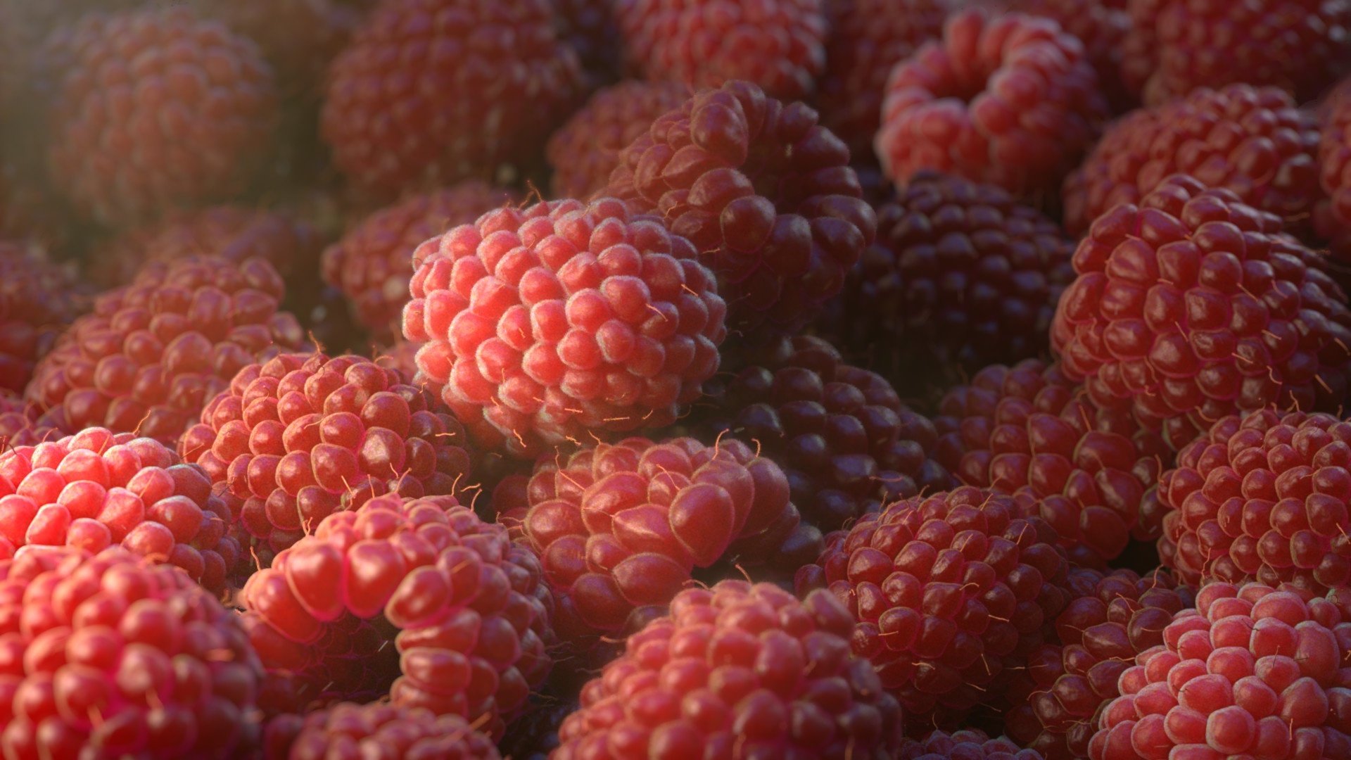 Download Fruit Berry Food Raspberry HD Wallpaper
