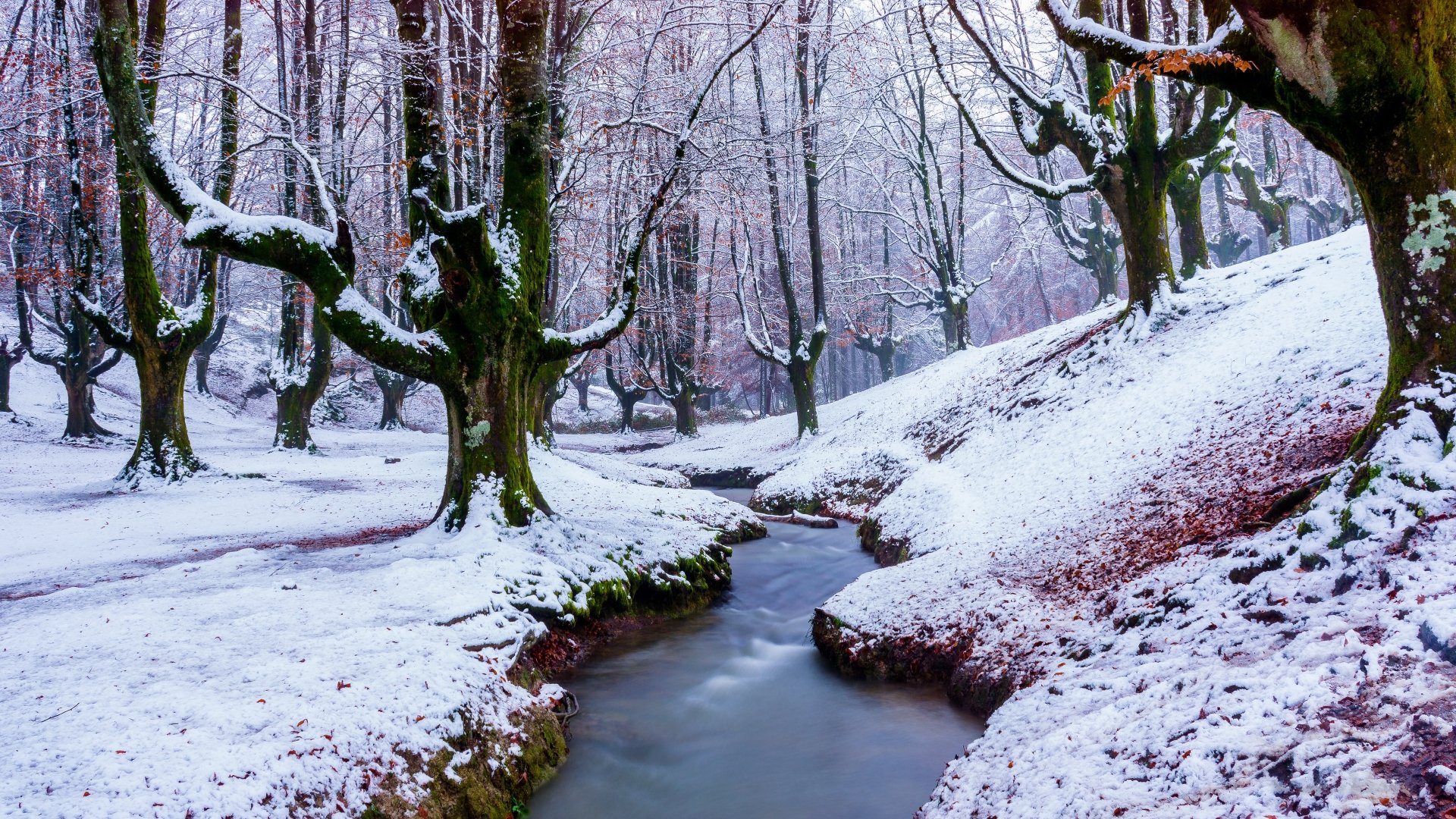 Winter Stream in Snow-Covered Forest | 4K Ultra HD Nature Wallpaper ...