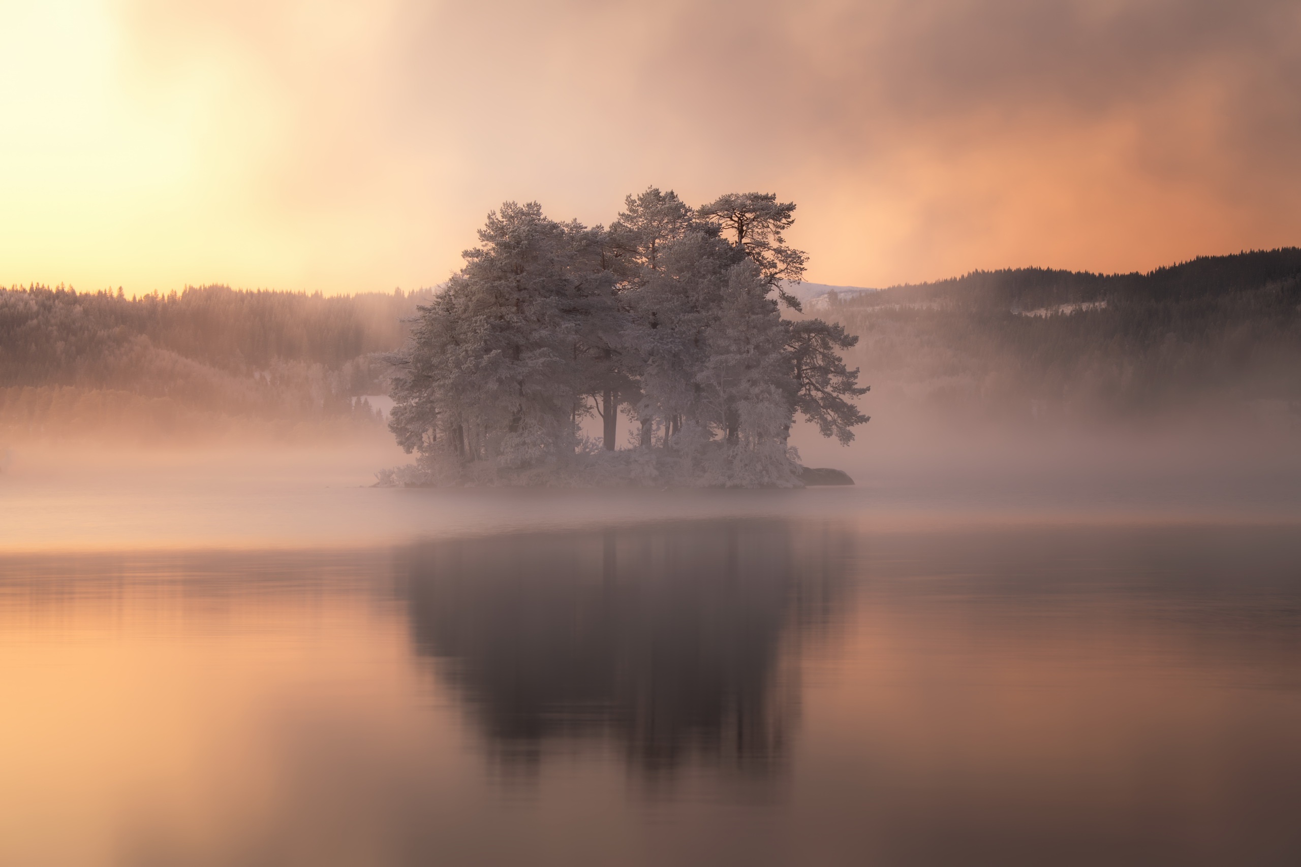 Download Winter Reflection Lake Nature Fog HD Wallpaper
