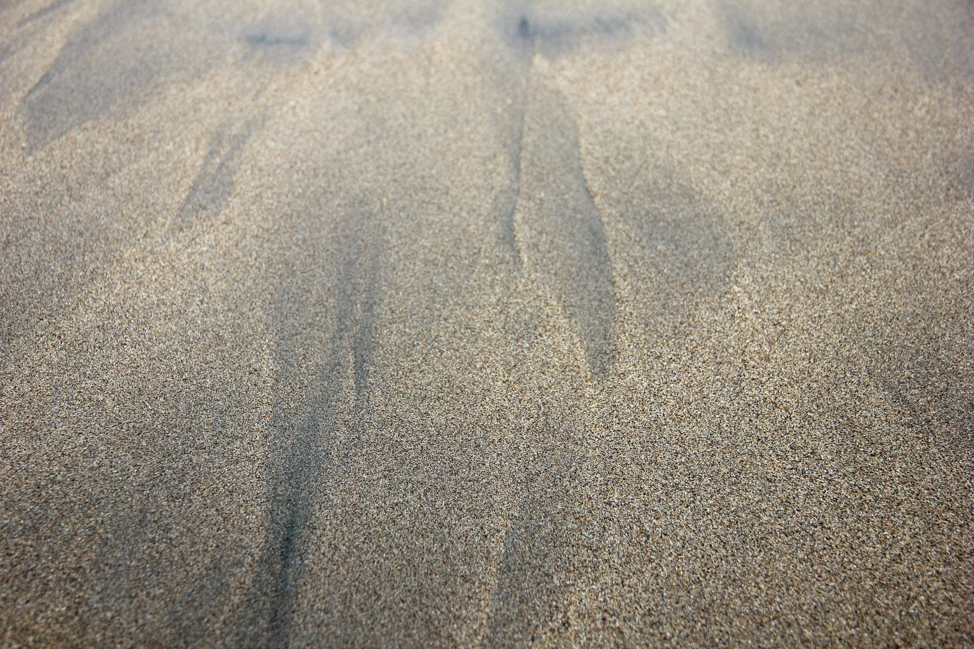 Download Beach Sand Nature Close-up 4k Ultra HD Wallpaper by Nautiluss