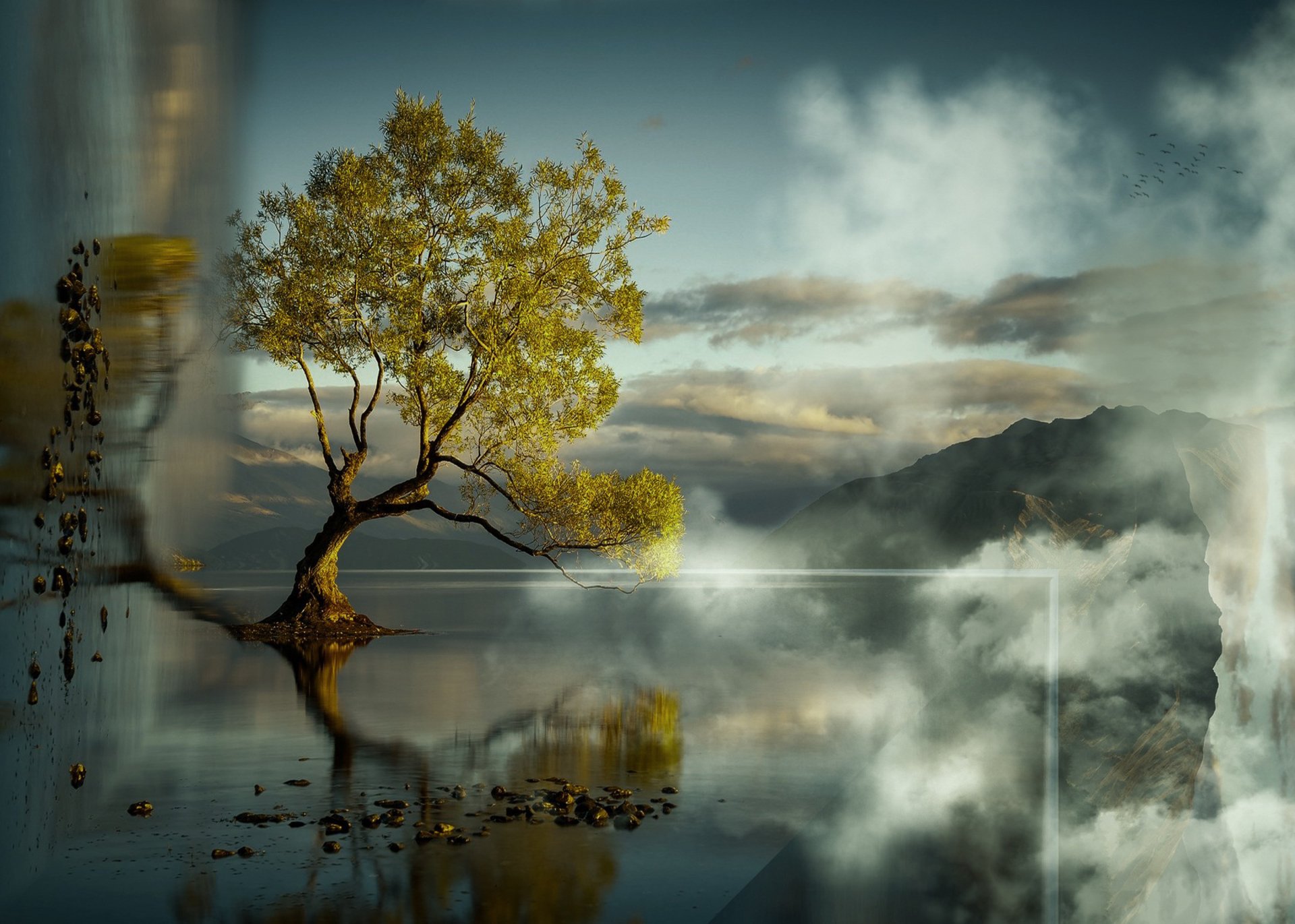 Download Tree Illusion Photography Manipulation HD Wallpaper